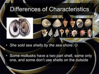 Marine Mollusks | PPT