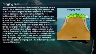 Marine Scoops Guide To Coral Reefs (Part 1/3) | PDF | Geology | Science