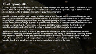 Marine Scoops Guide To Coral Reefs (Part 1/3) | PDF | Geology | Science
