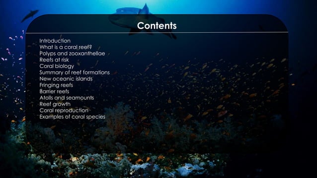 Marine Scoops Guide To Coral Reefs (Part 1/3) | PDF | Geology | Science