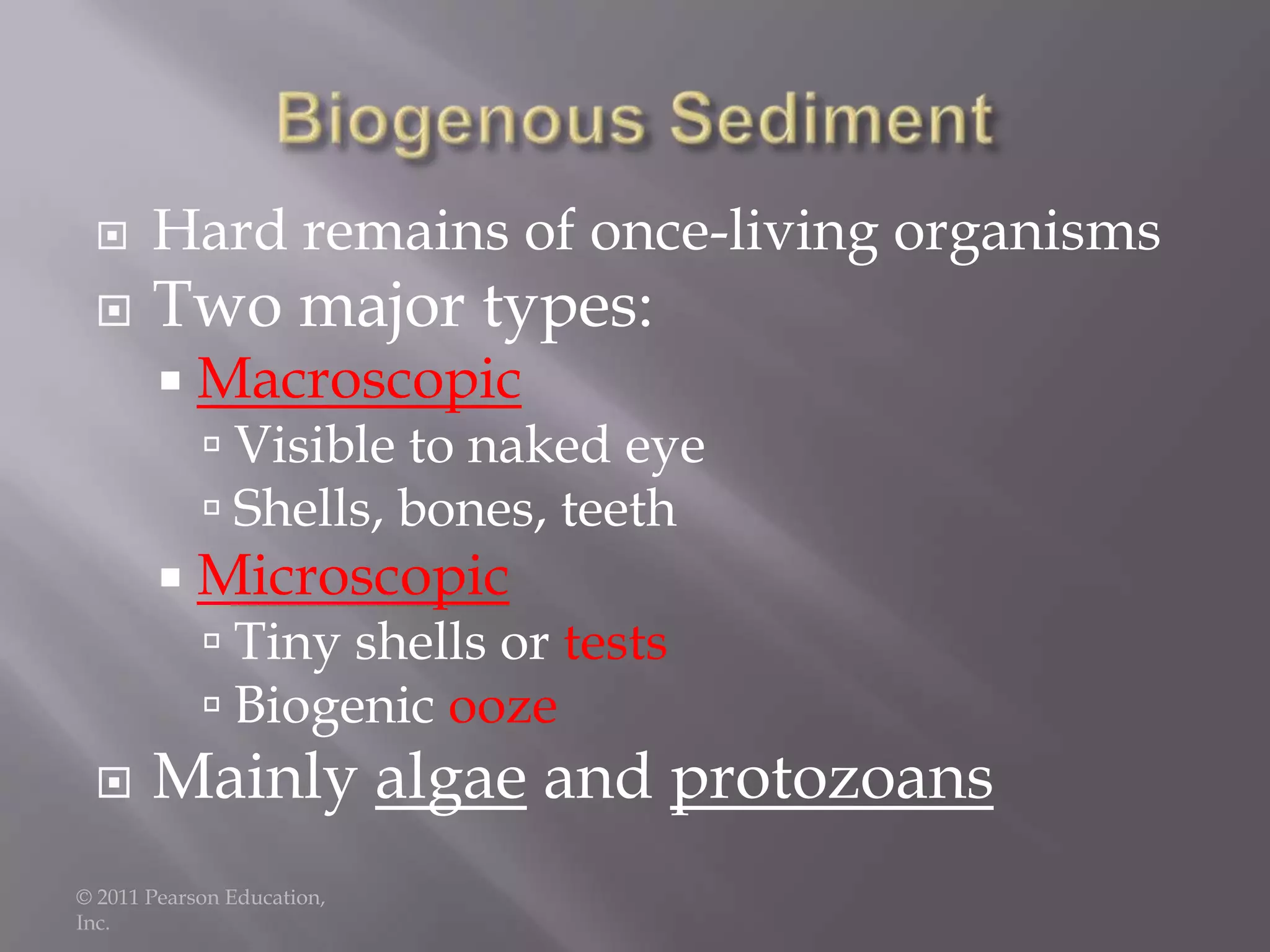 Marine Sediments | PPTX