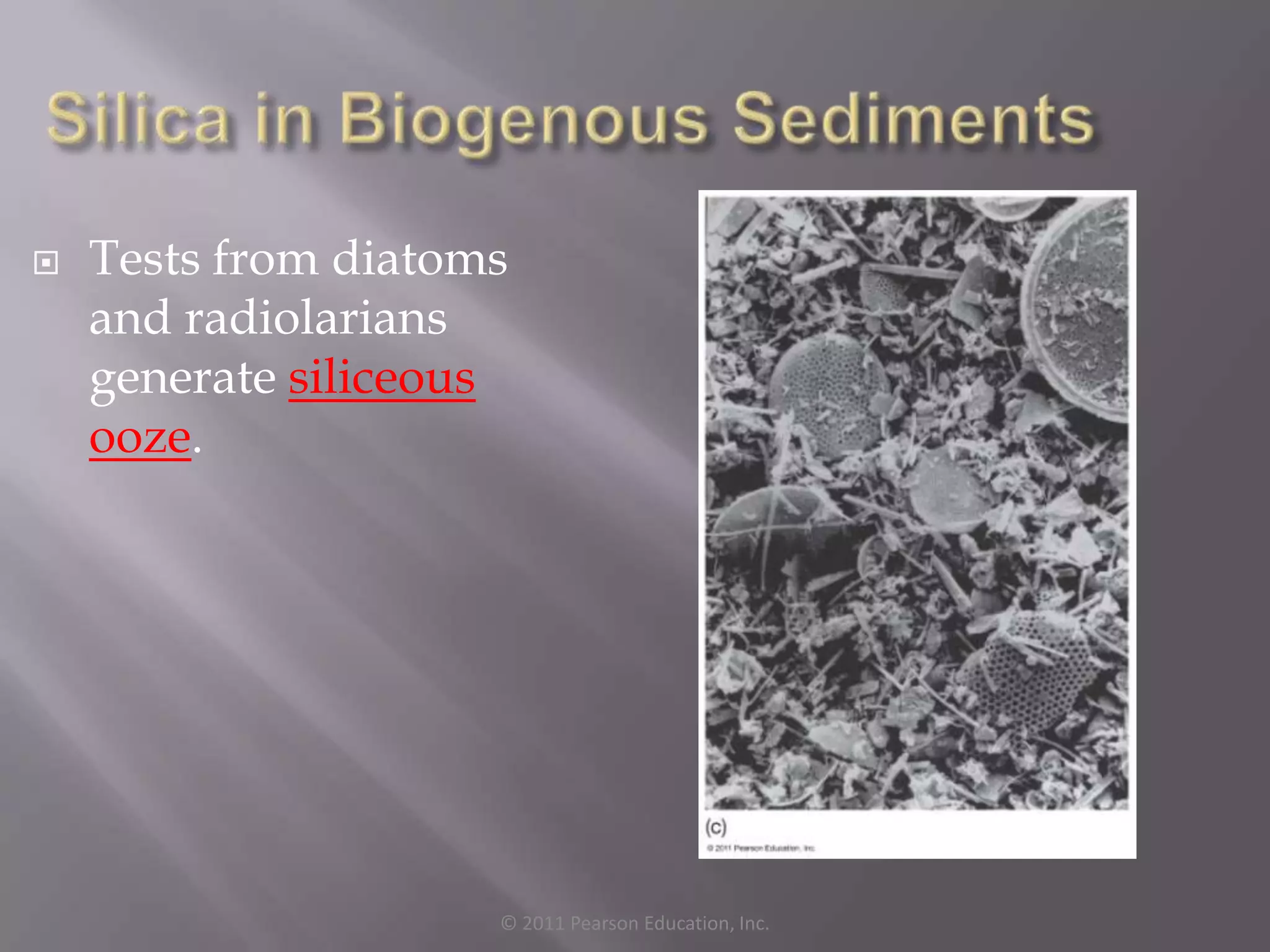 Marine Sediments Types (Detailed) | PPTX