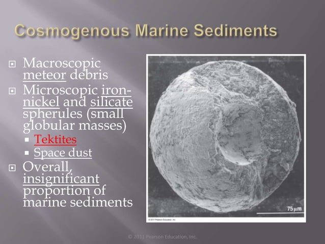 Marine Sediments Types (Detailed) | PPTX