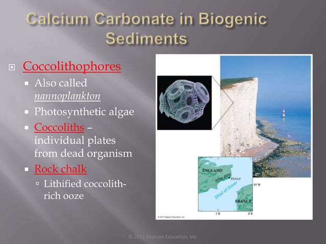 Marine Sediments Types (Detailed) | PPTX