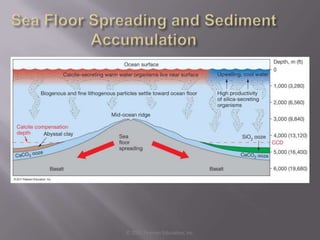 Marine Sediments Types (Detailed) | PPTX