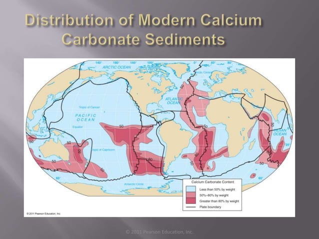 Marine Sediments Types (Detailed) | PPTX