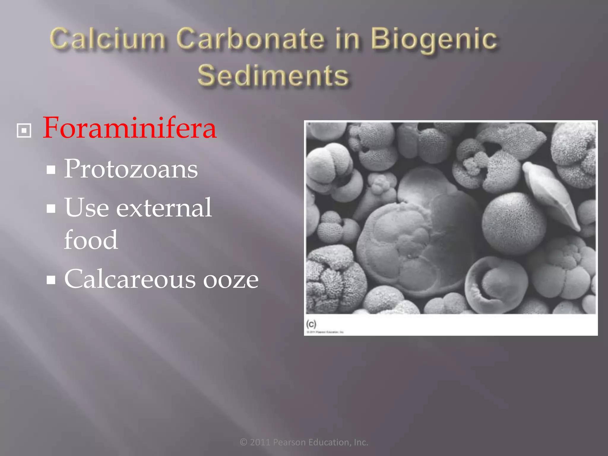 Marine Sediments Types (Detailed) | PPTX