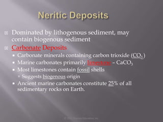 Marine Sediments Types (Detailed) | PPT