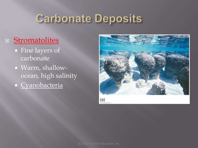 Marine Sediments Types (Detailed) | PPT