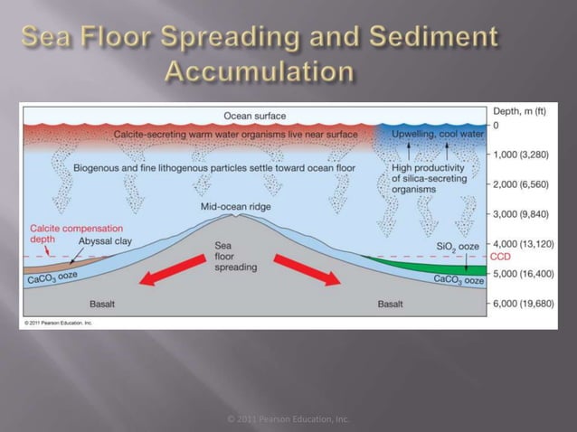Marine Sediments Types (Detailed) | PPT