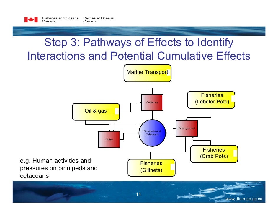 Marine Spatial Planning Decision Support Tools Development in Canada Marine Spatial Planning Decision Support Tools Development in Canada