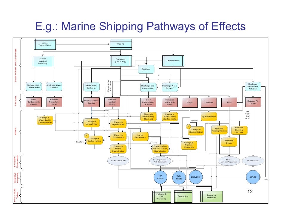 Marine Spatial Planning Decision Support Tools Development in Canada Marine Spatial Planning Decision Support Tools Development in Canada