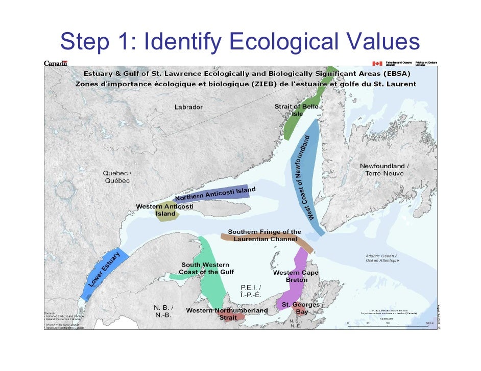 Marine Spatial Planning Decision Support Tools Development in Canada Marine Spatial Planning Decision Support Tools Development in Canada