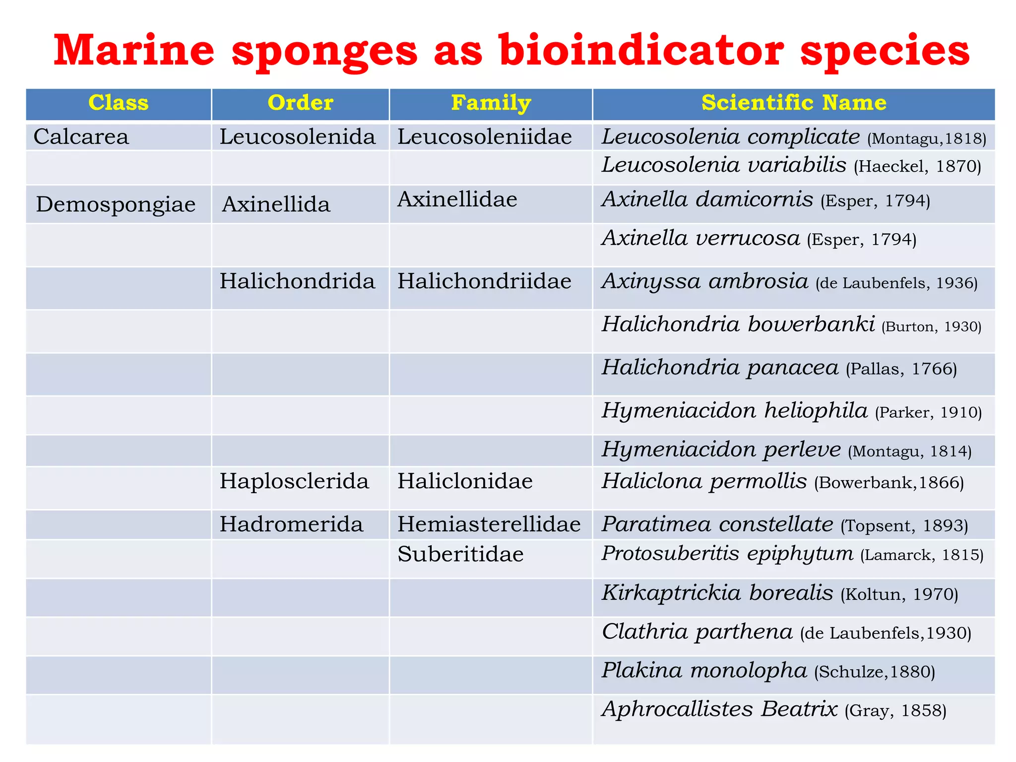 Marine sponges as bioindicator species of environmental stress at Uran ...