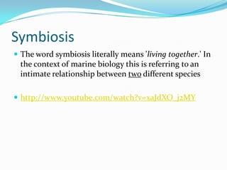 Marine symbiosis | PPTX