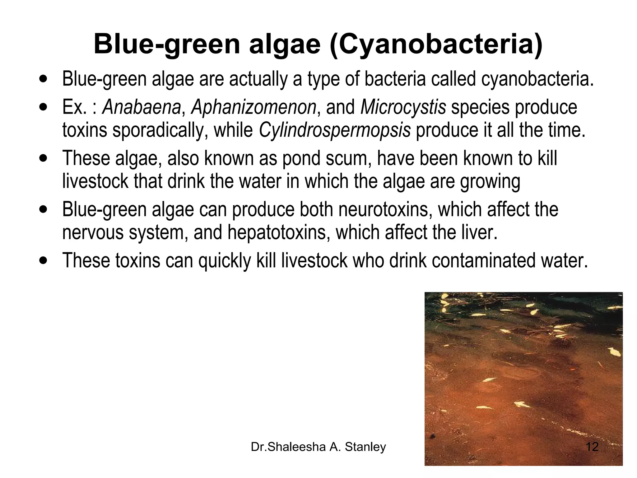 Marine toxins | PPT