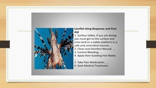 Marine Toxins-2.pptx