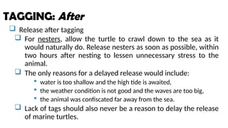 Marine Turtle Tagging based on Philippine Aquatic Wildlife Rescue and ...