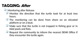 Marine Turtle Tagging based on Philippine Aquatic Wildlife Rescue and ...