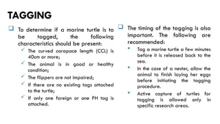 Marine Turtle Tagging based on Philippine Aquatic Wildlife Rescue and ...