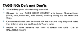 Marine Turtle Tagging based on Philippine Aquatic Wildlife Rescue and ...