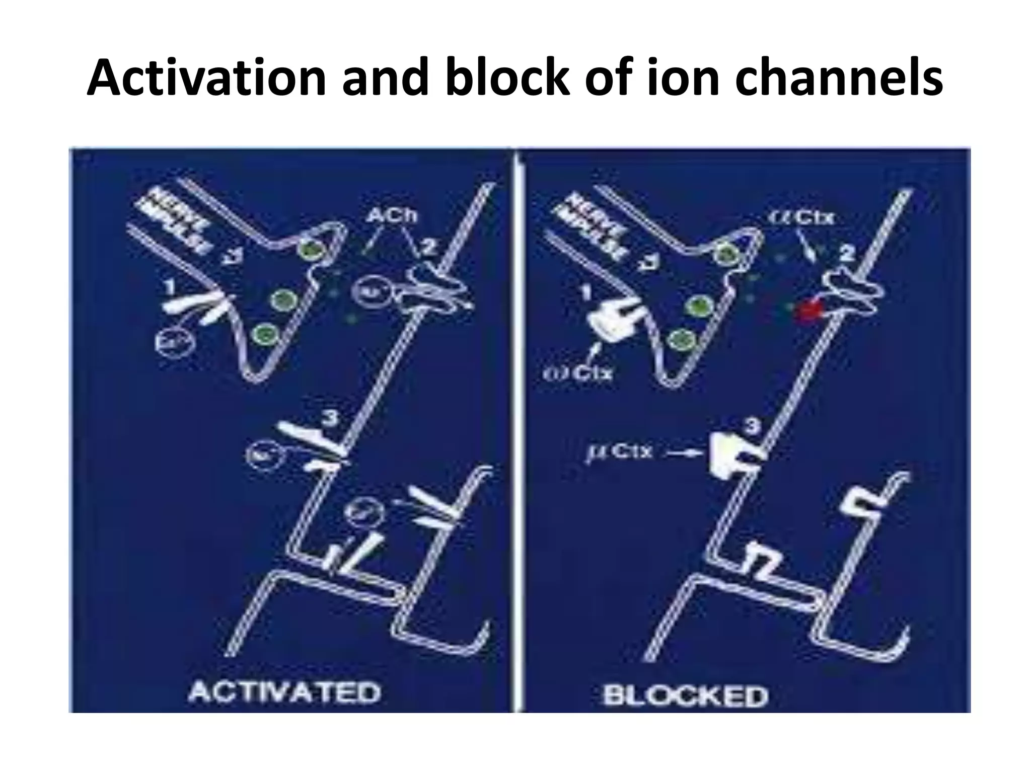 marine unit-2.ppt