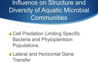 Marine Virus Presentation | PPTX