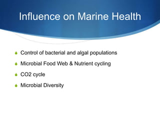 Marine Virus Presentation | PPTX