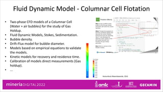 Mario Leon - IntelliSense.io - Presentacion Mineria Digital 2022.pdf