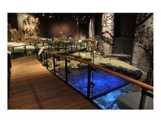 Mario Mercuri Project Management Institutional Interiors | PDF