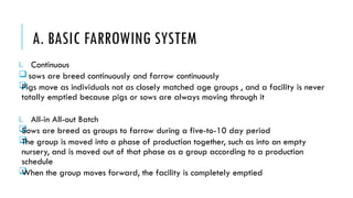 (Marion Moreno) farrowing Management.pptx