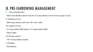 (Marion Moreno) farrowing Management.pptx