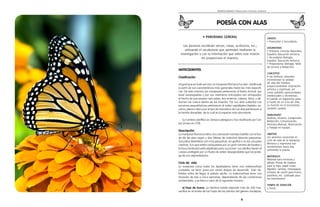Mariposa monarca | PDF