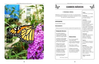 Mariposa monarca | PDF