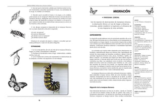 Mariposa monarca | PDF