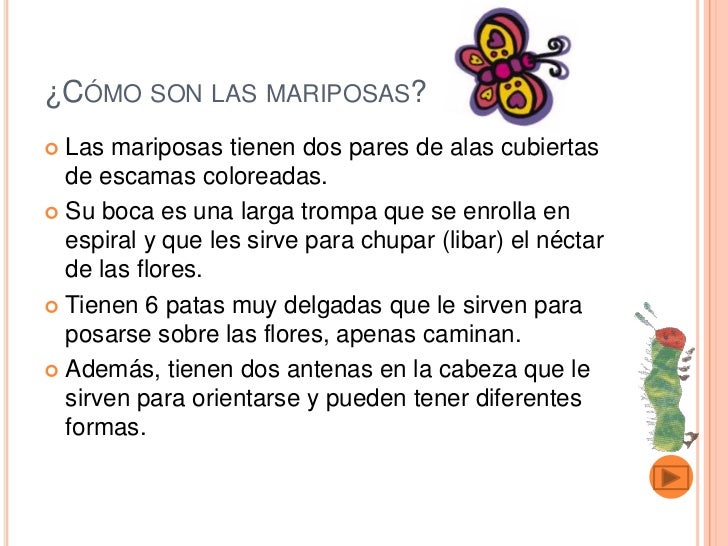 Mariposas presentación