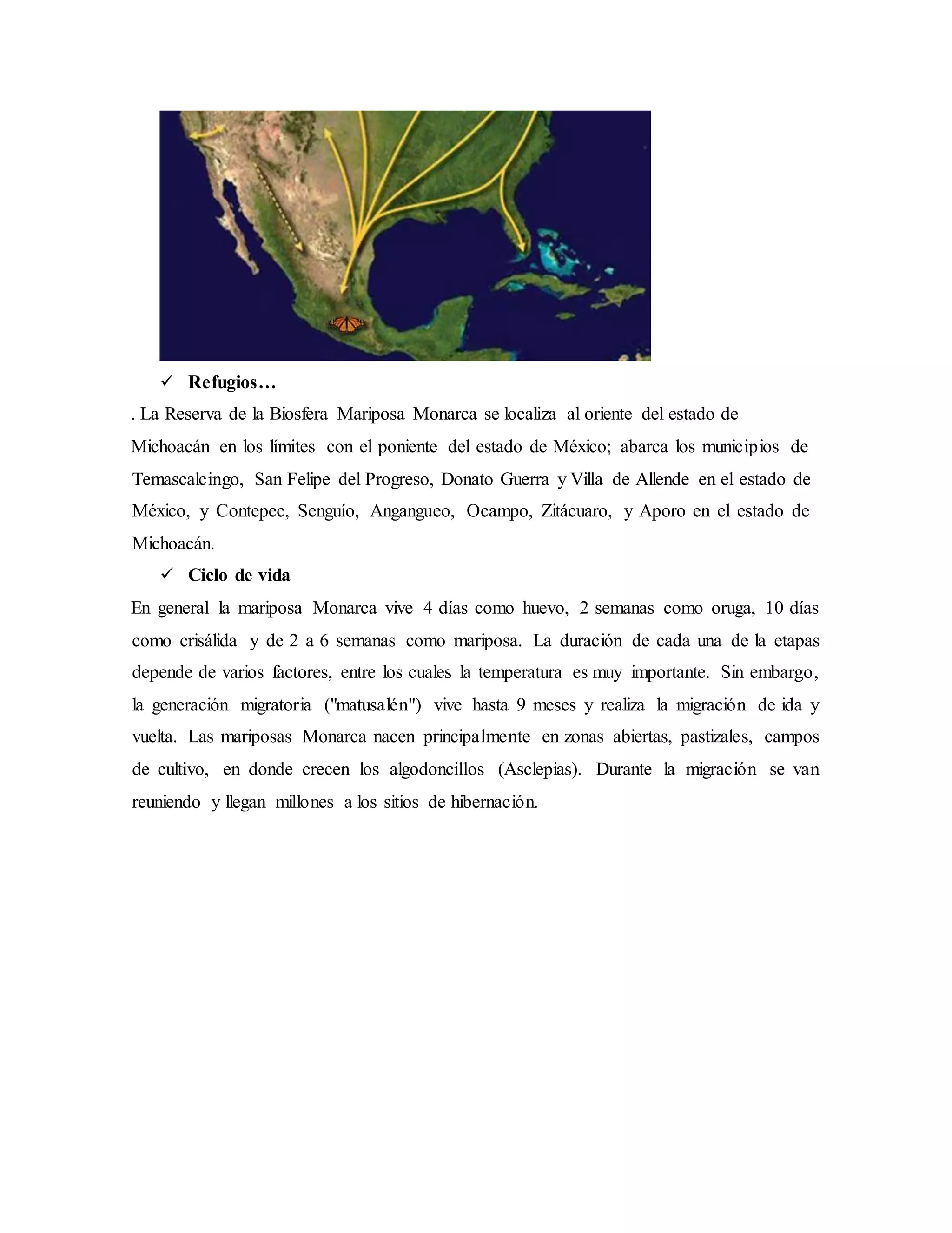 Mariposas monarcas | DOCX