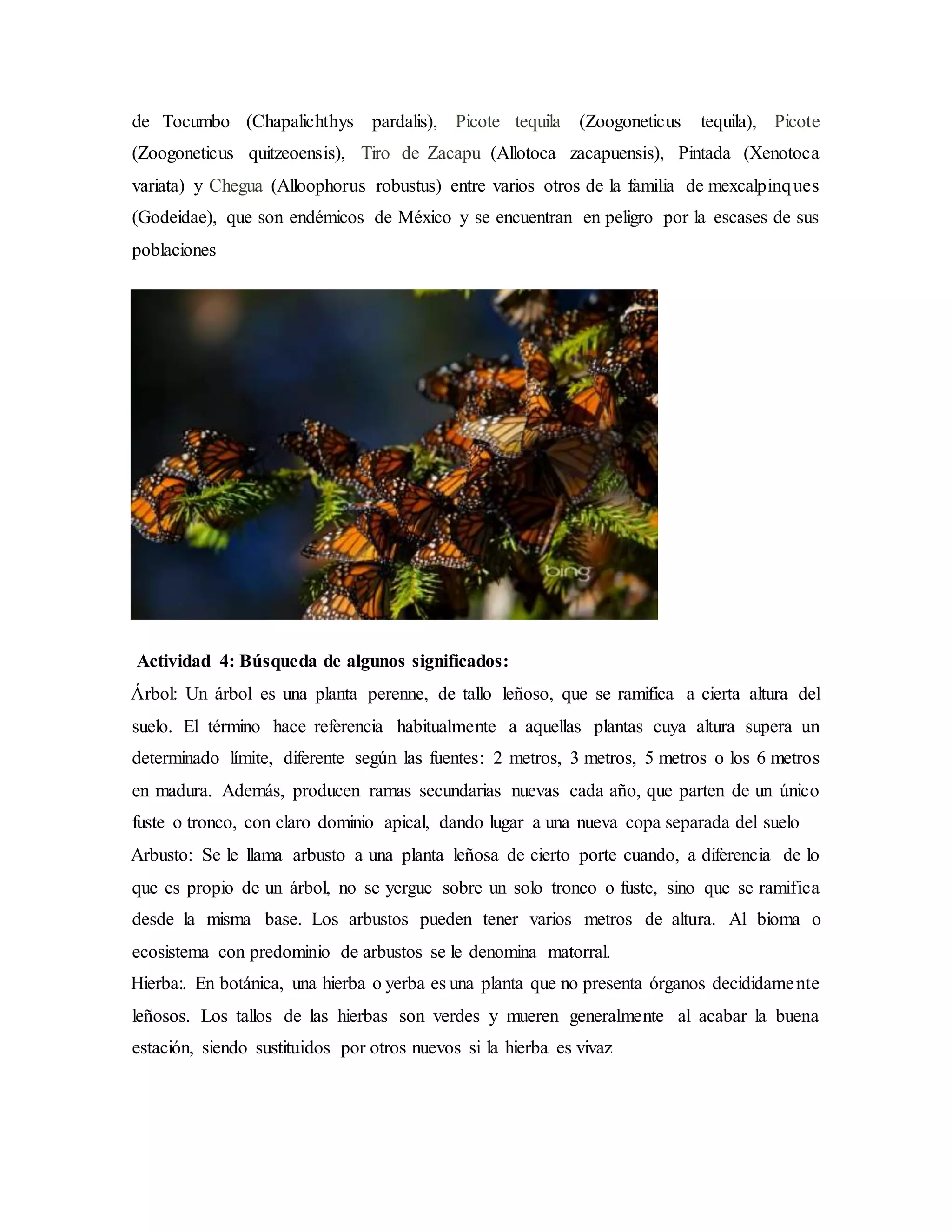 Mariposas monarcas | DOCX