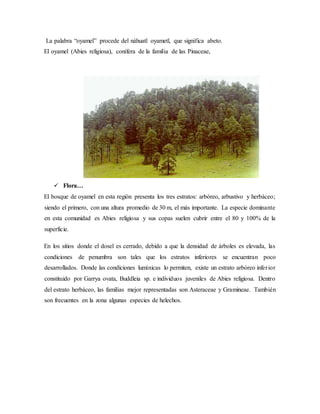 Mariposas monarcas | DOCX