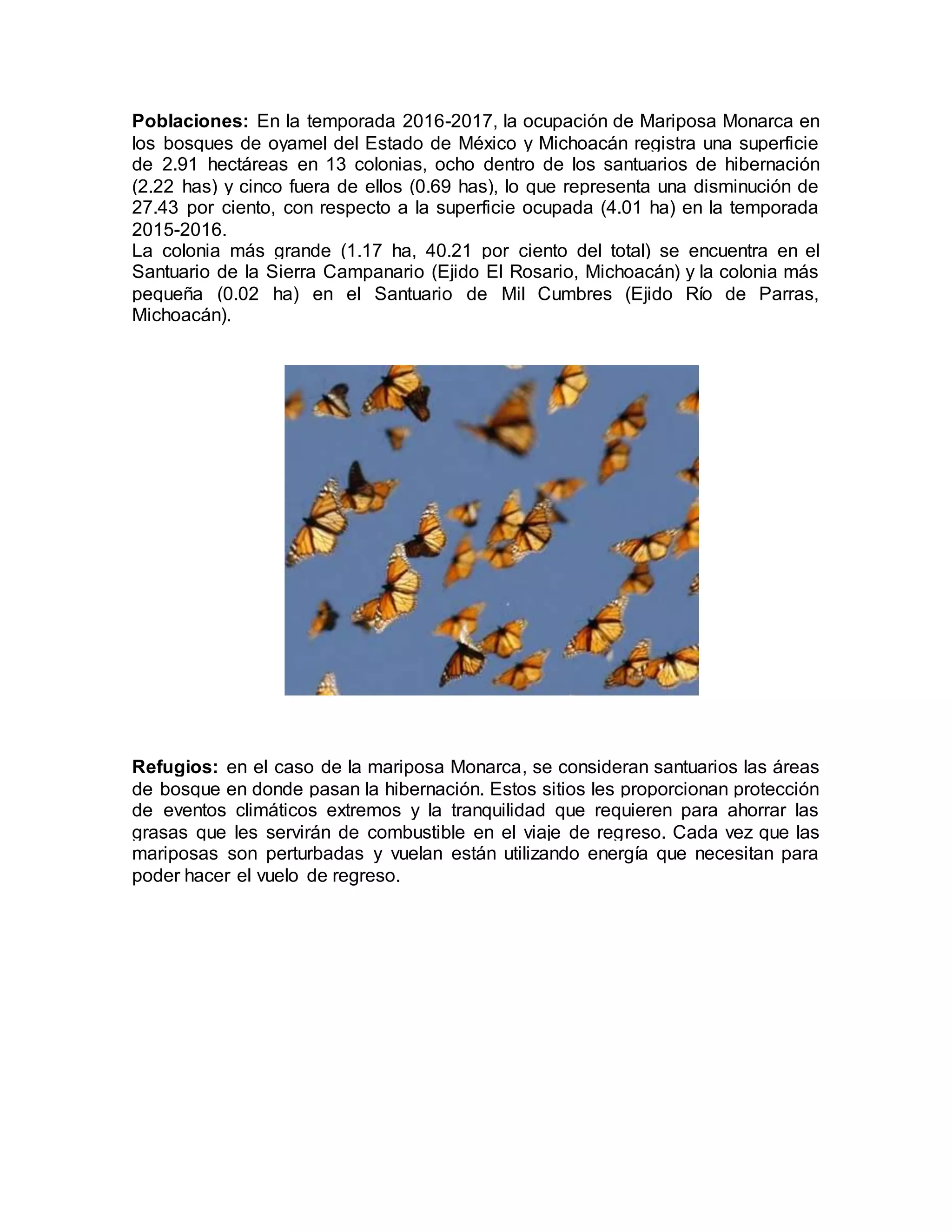 Práctica Ecología: Mariposas monarcas. | DOCX