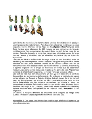 Mariposas monarcas para responder | DOCX