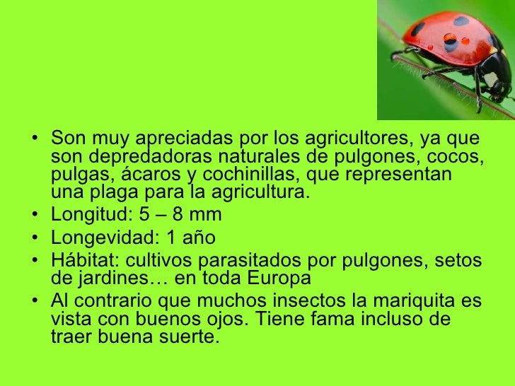 Mariquita