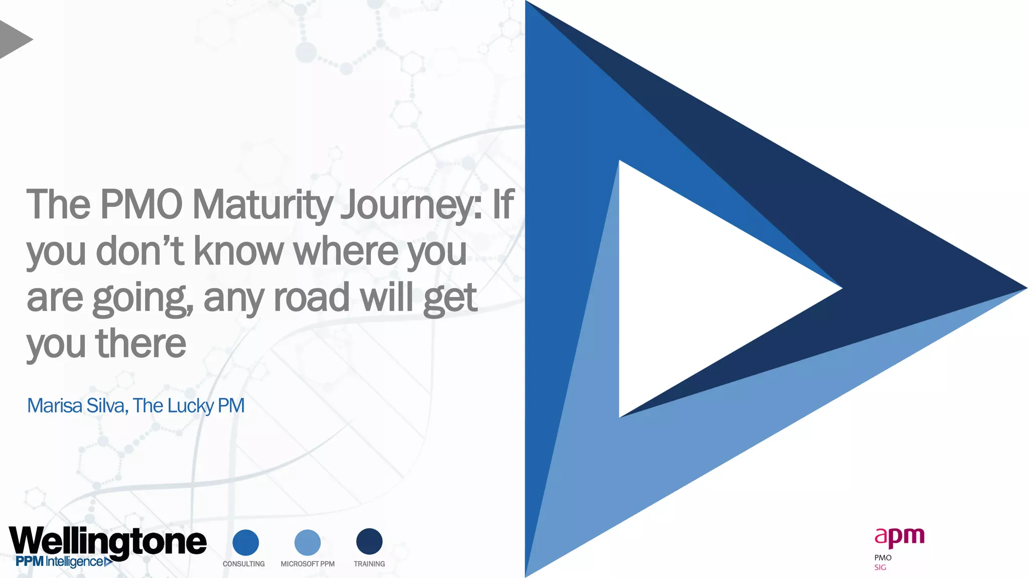 Maturing PMO through its teenage years, Marisa Silva, APM PMO SIG ...