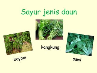 Jenis sayur-sayuran | PPT