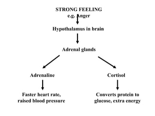 Marita Nazareth | PPT