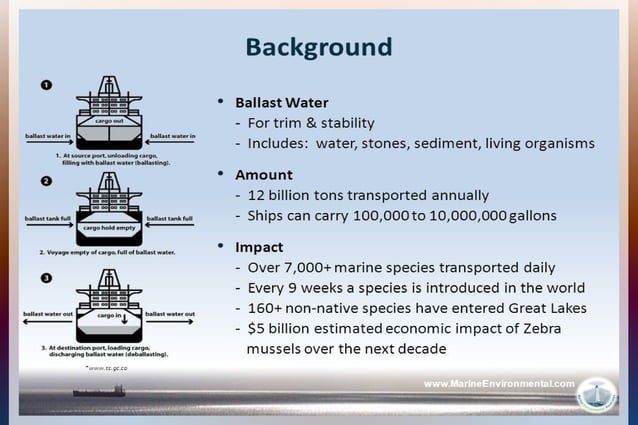 maritime safety at sea and why it is important .ppt | Cruises | Travel Type