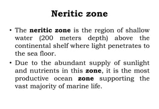 Neritic And Oceanic Zones
