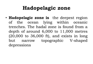 Maritime zones | PPT | Free Download