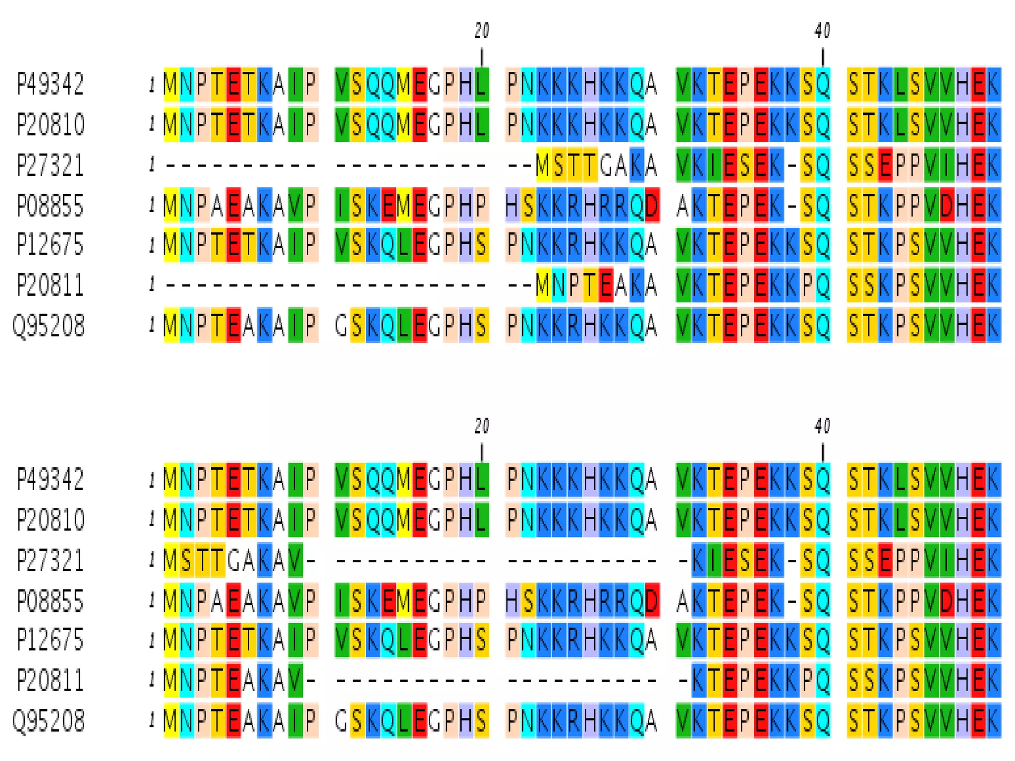 MULTIPLE SEQUENCE ALIGNMENT | PPTX