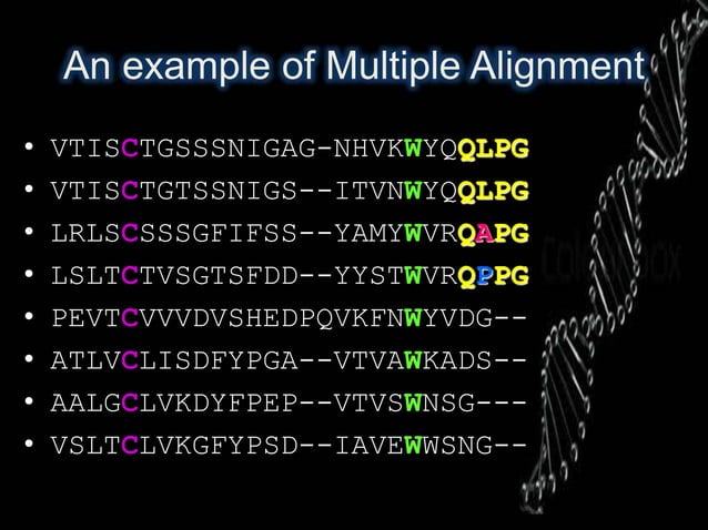 MULTIPLE SEQUENCE ALIGNMENT | PPTX | Databases | Computer Software and ...